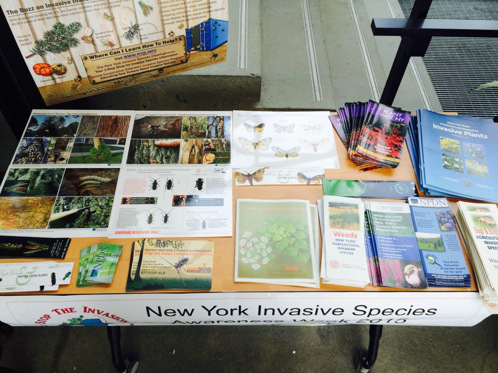 About Us - New York Invasive Species Research Institute