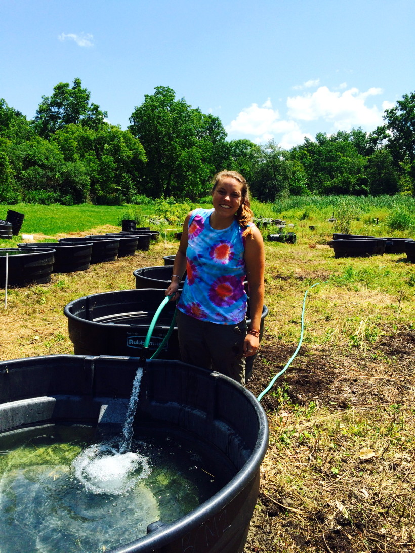 field pictures2 - New York Invasive Species Research Institute