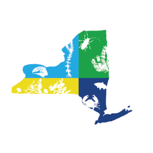 Web Resources - New York Invasive Species Research Institute